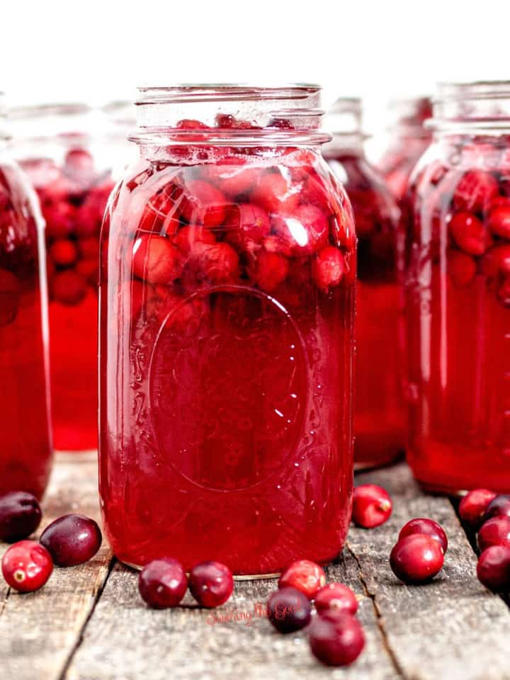Easy Homemade Blueberry Syrup Recipe with Canning Instructions