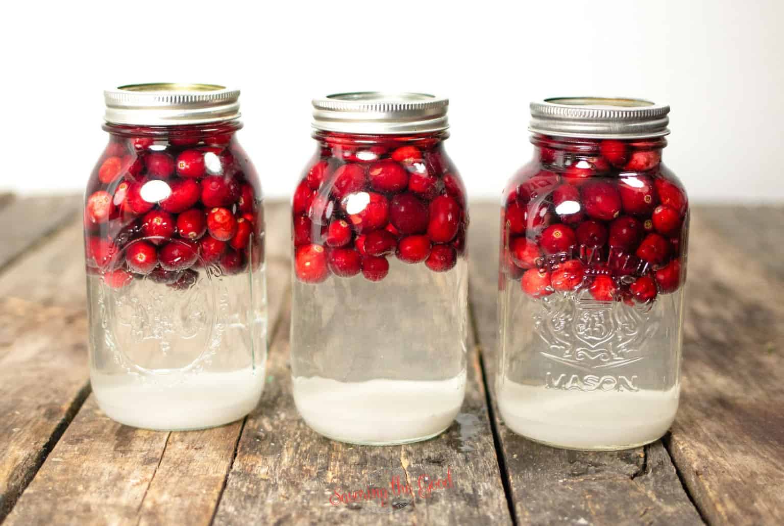 Canning Cranberry Juice (Easy Cranberry Juice Recipe)