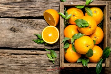 52 Types of Oranges Grown- Beyond the Popular Types